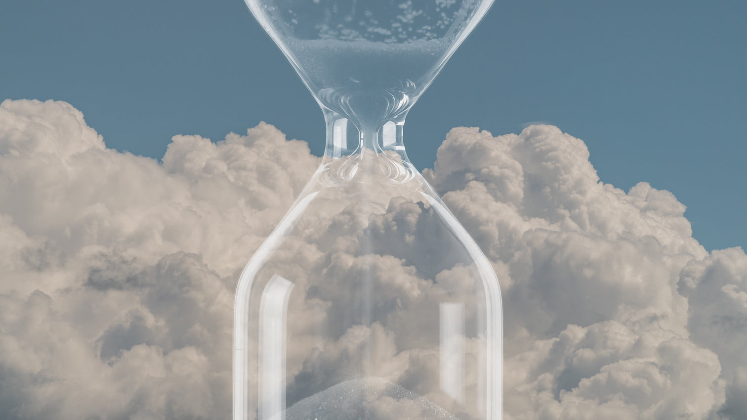 Joe Bartolozzi Official Merchandise Store